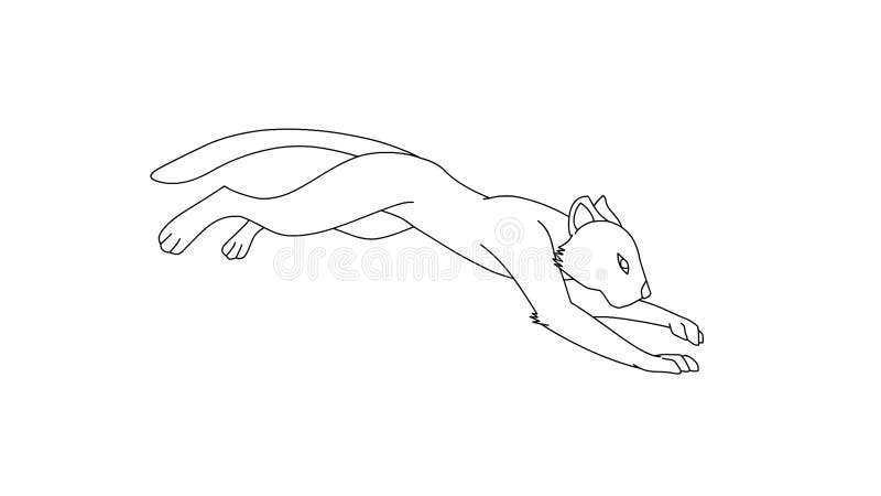 2d Hand Drawn Animation of a Running Cat, on White Isolated Background ...