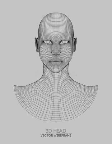 3d Head Wireframe Vector. Drawing of Wireframe Head 3d Model. Vector ...