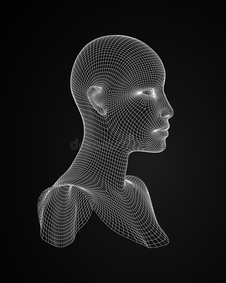 3d Head Wireframe Vector. Drawing of Wireframe Head 3d Model. Vector ...