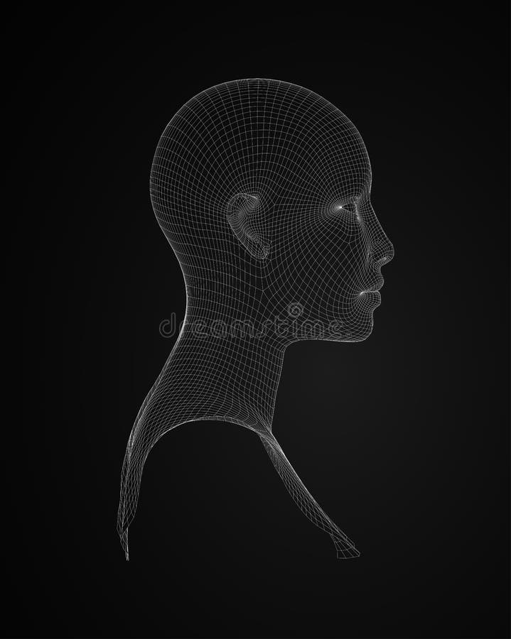 3d Head Wireframe Vector. Drawing of Wireframe Head 3d Model. Vector ...