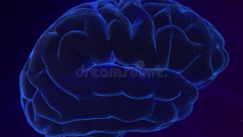 3D Human Brain Made of High-tech Linear Grid with Motion Camera Effect ...