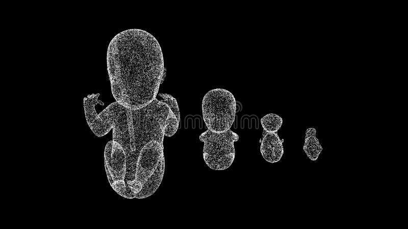 3D Human Embryo on Black Bg. the Development of the Human Embryo ...