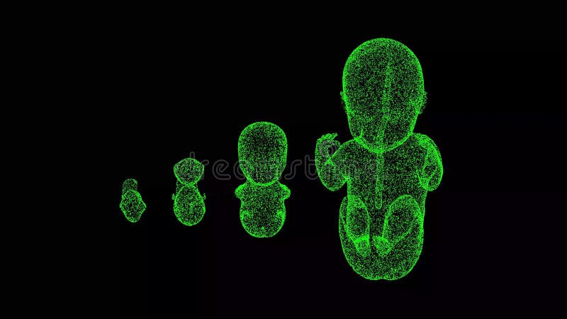 3D Human Embryo on Black Bg. the Development of the Human Embryo ...