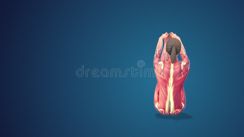 3D Human Navasana Variation with Arms Extended Yoga Pose on Blue ...