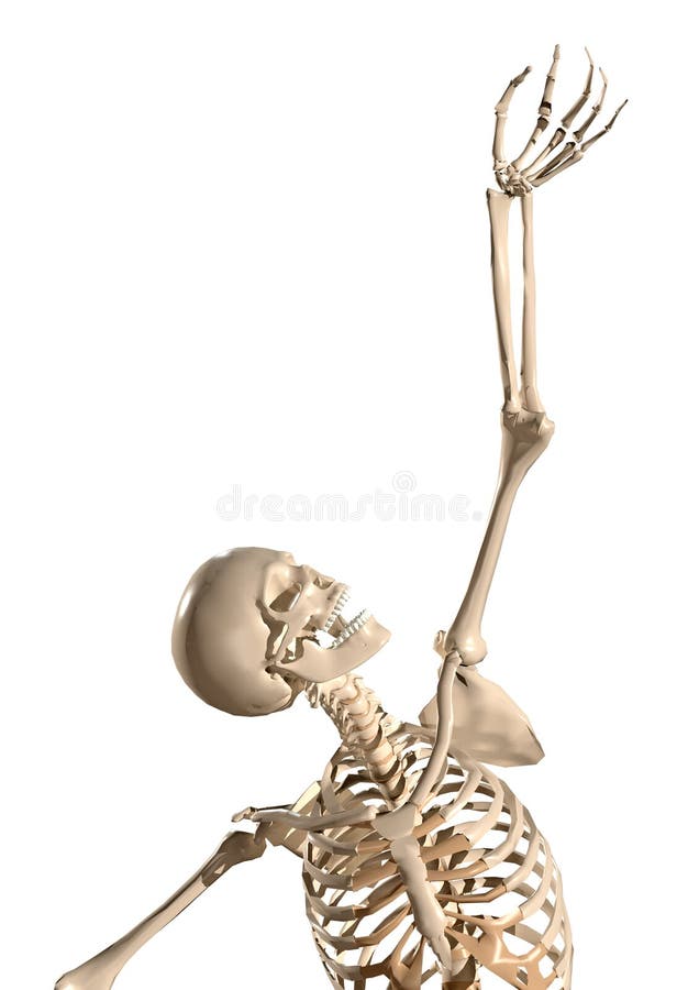 Skeleton Reaching Stock Illustrations – 61 Skeleton Reaching Stock ...