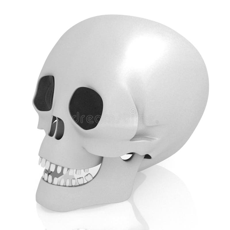 3D Human Skull on White Background Stock Illustration - Illustration of ...