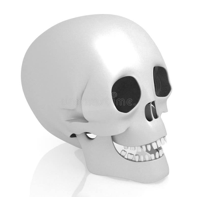 3D Human Skull on White Background Stock Illustration - Illustration of ...