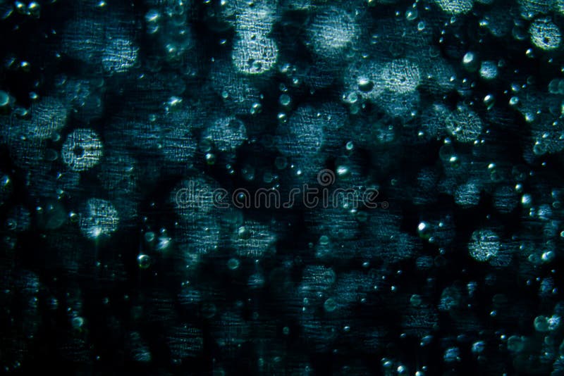 3d Illustration with Abstract Circular Shapes Simulating Bubbles ...