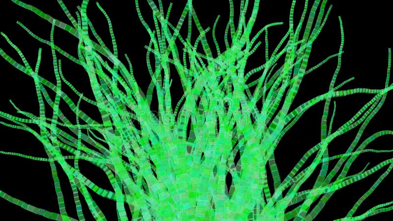 3D Illustration of Abstract Colored Stems Stock Illustration ...