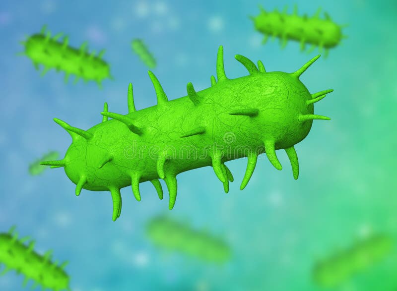 Phylum Firmicutes Stock Illustrations – 11 Phylum Firmicutes Stock ...