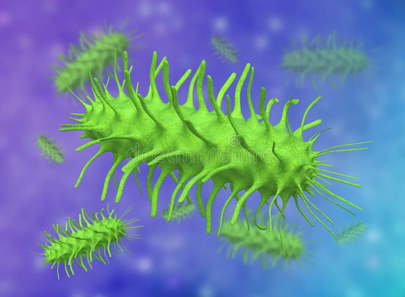 Phylum Firmicutes Stock Illustrations – 11 Phylum Firmicutes Stock ...