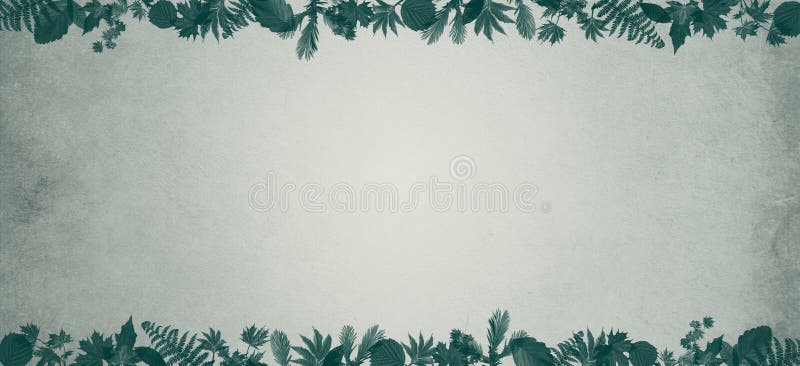 3d Illustration Beautiful Exotic Botanical Tropical Leaves with Text ...