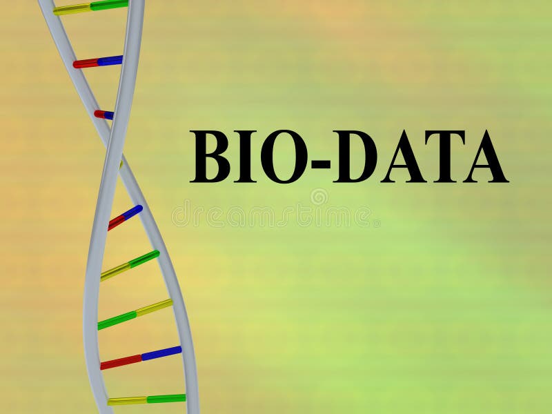 Data Script Vector Logo Template. Stock Vector - Illustration of ...