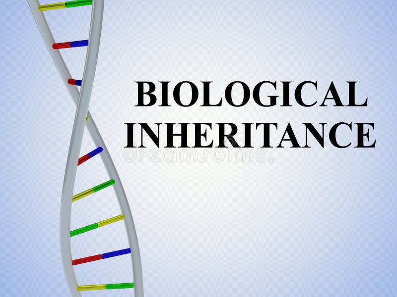 Biological Inheritance Vector Illustration Infographic. Biology ...