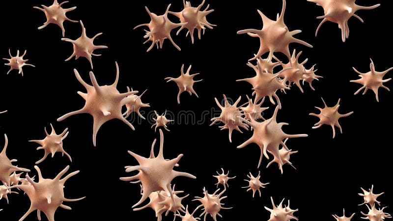 Blood Platelet Line Outline Icon Stock Vector - Illustration of ...