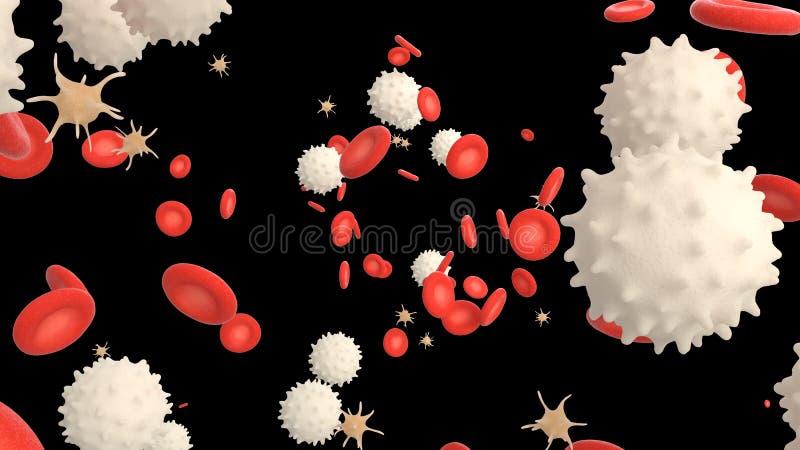 Platelets Clipart