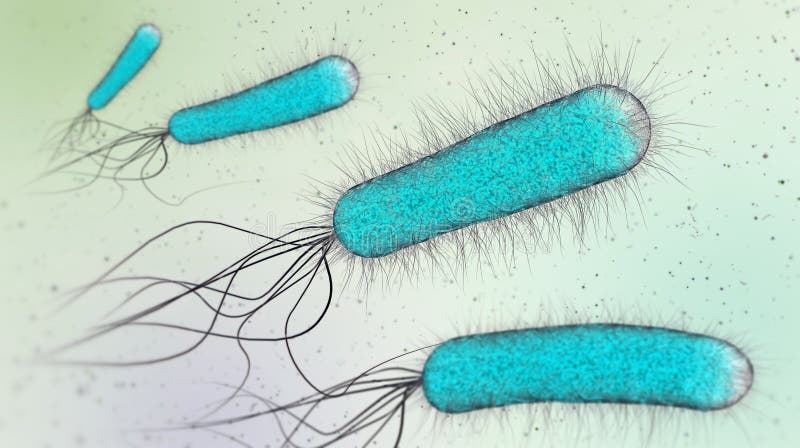 Red Bacteria or Single Cell Microorganisms Stock Illustration ...