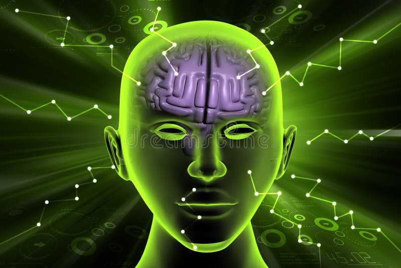 Brain Development Stock Illustrations – 79,737 Brain Development Stock ...