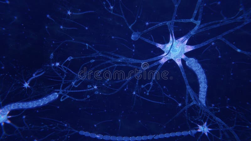 3d Render Brain Neurons with Synapses and Axons Stock Illustration ...