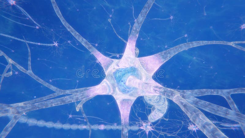3d Render Brain Neurons with Synapses and Axons Stock Illustration ...