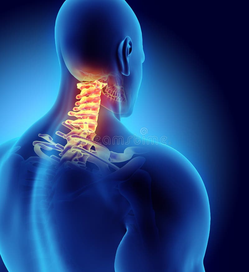 3d Illustration Of Cervical Spine Medical Concept Stock Illustration