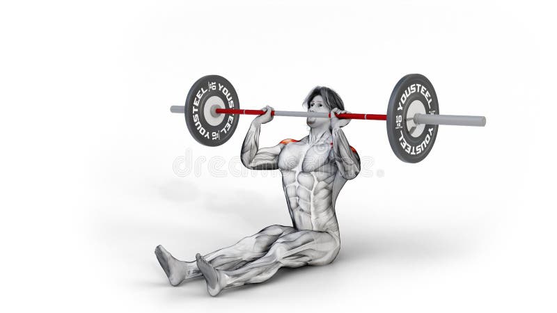 3d Illustration of a Character Exercising Shoulders Barbell Z Press ...
