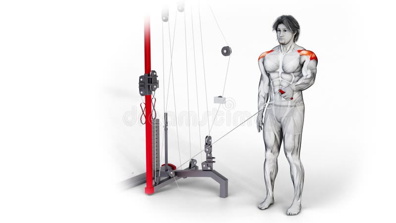 3d Illustration of a Character Exercising Shoulders Cable Lateral Raise ...