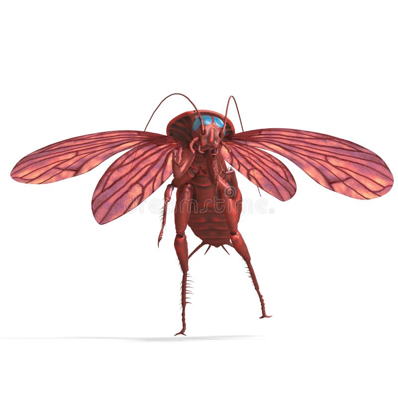 Scary Cartoon Cockroach Stock Illustrations – 112 Scary Cartoon ...