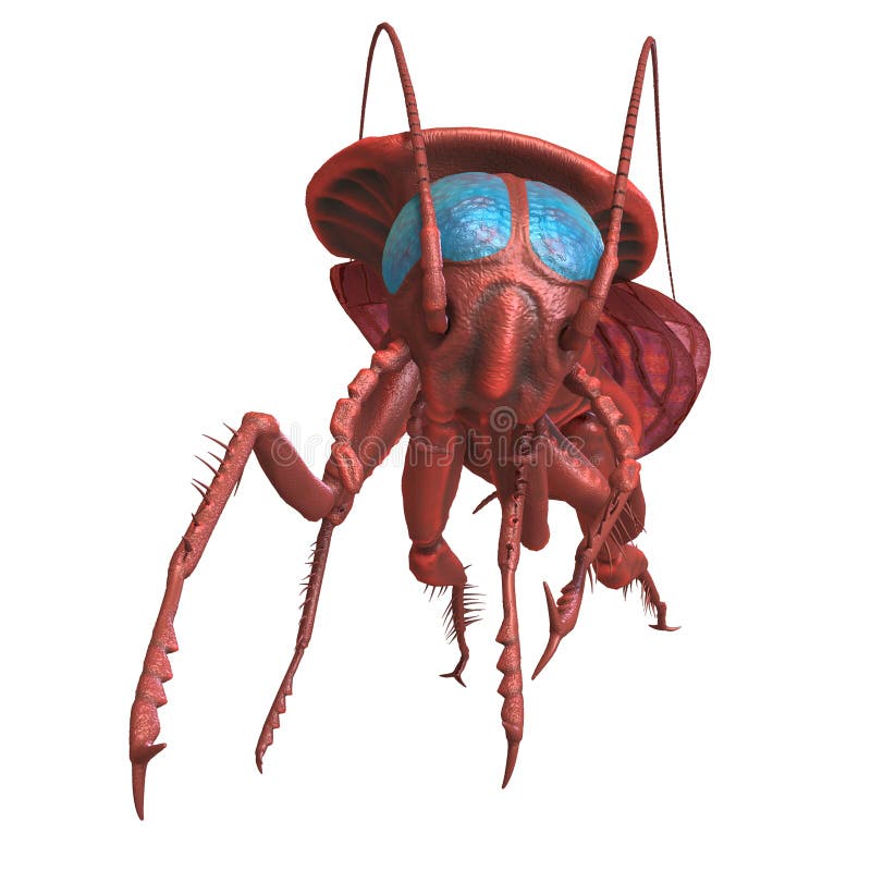 Cockroach stock illustration. Illustration of ekel, absturz - 1710163