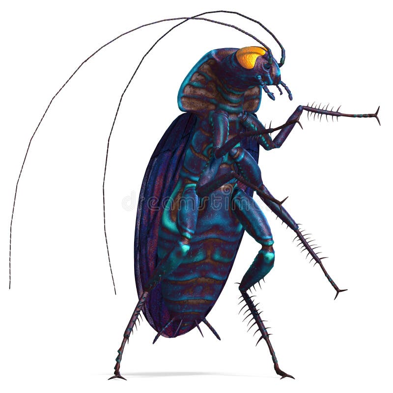 Cockroach stock illustration. Illustration of ekel, absturz - 1710163