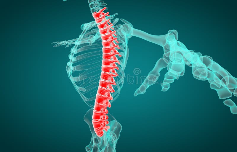 3D Illustration of Spine, Medical Concept Stock Illustration ... 3D Illustration of Spine, Medical Concept Stock Illustration ...