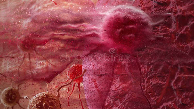 Damaged Cell Membrane Stock Photos - Free & Royalty-Free Stock Photos ...