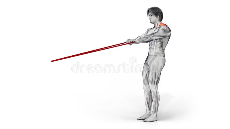 3d Illustration Design of a Muscular Character Exercises His Trap ...