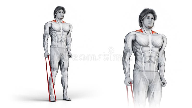 3d Illustration Design of Muscular Character Exercises Pull Up Cable ...