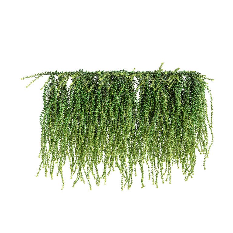 Drooping Tree Stock Illustrations – 293 Drooping Tree Stock ...