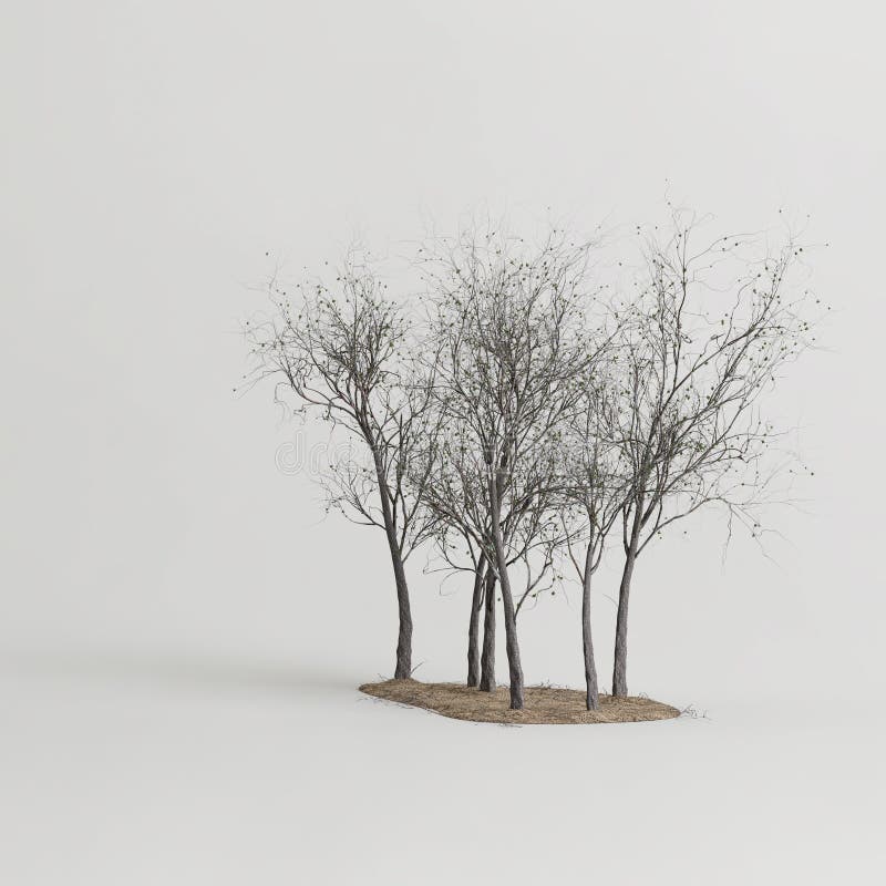 3d Illustration of Dry Tree Cluster Isolated on White Background Stock ...