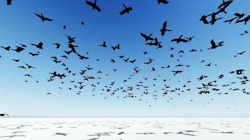 Flock of Birds Flying Across the Screen Stock Photo - Image of animals ...