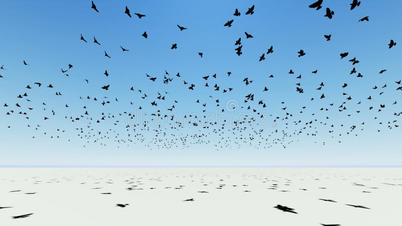 Flock of Birds Flying Across the Screen Stock Photo - Image of animals ...