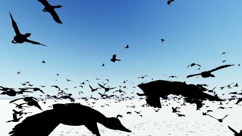 Flock of Birds Flying Across the Screen Stock Illustration ...