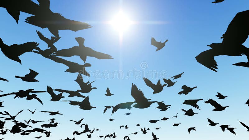 Flock of Birds Flying Across the Screen Stock Illustration ...