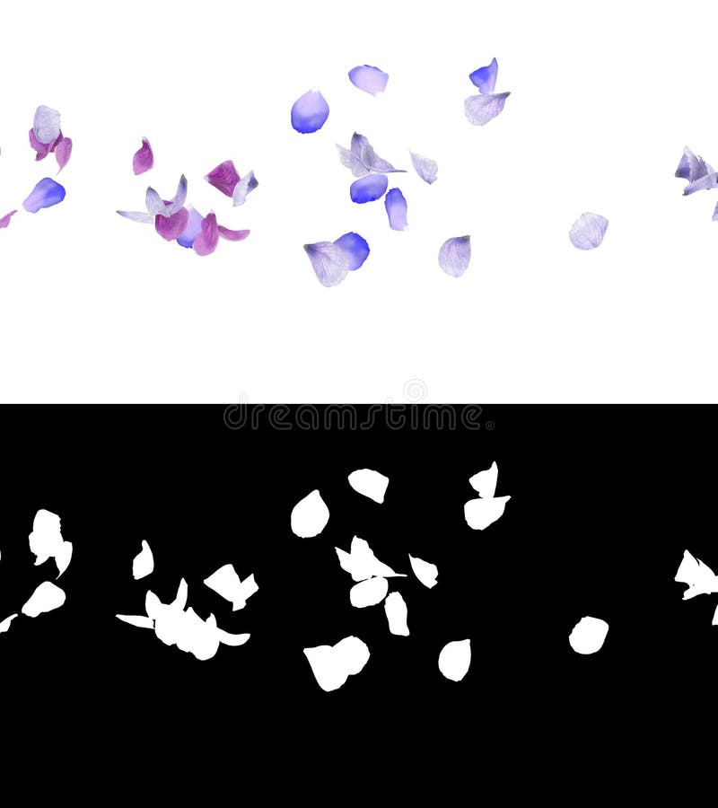 3D Illustration of a Flower Petals Flow with Alpha Layer Stock ...