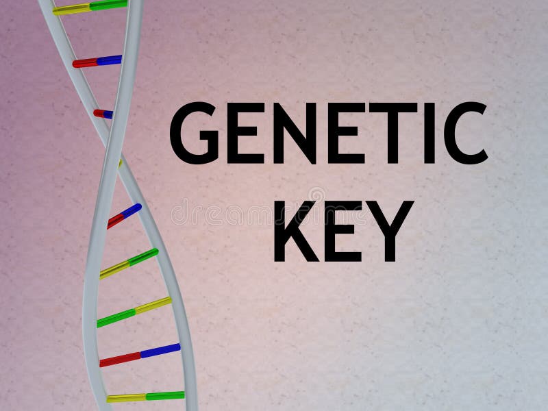 GENETIC KEY concept stock illustration. Illustration of healthy - 139042609