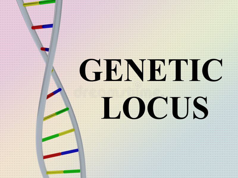 GENETIC LOCUS concept stock illustration. Illustration of heredity ...