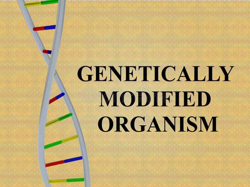 GENETICALLY MODIFIED ORGANISM Concept Stock Illustration - Illustration ...