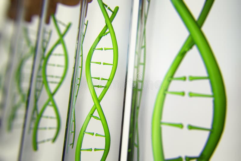 3d Illustration of Glass Model of DNA Molecule. Stock Illustration ...