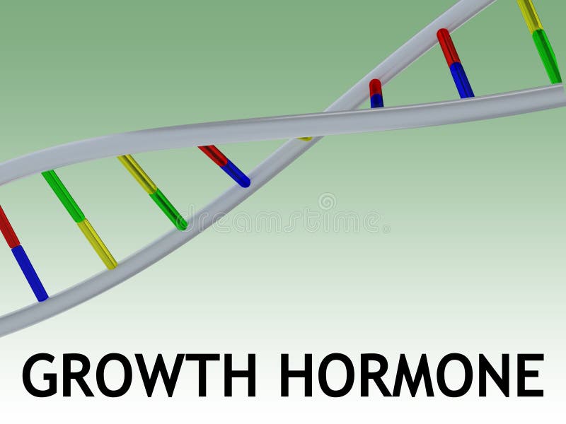 Growth Hormone concept stock illustration. Illustration of analysis ...