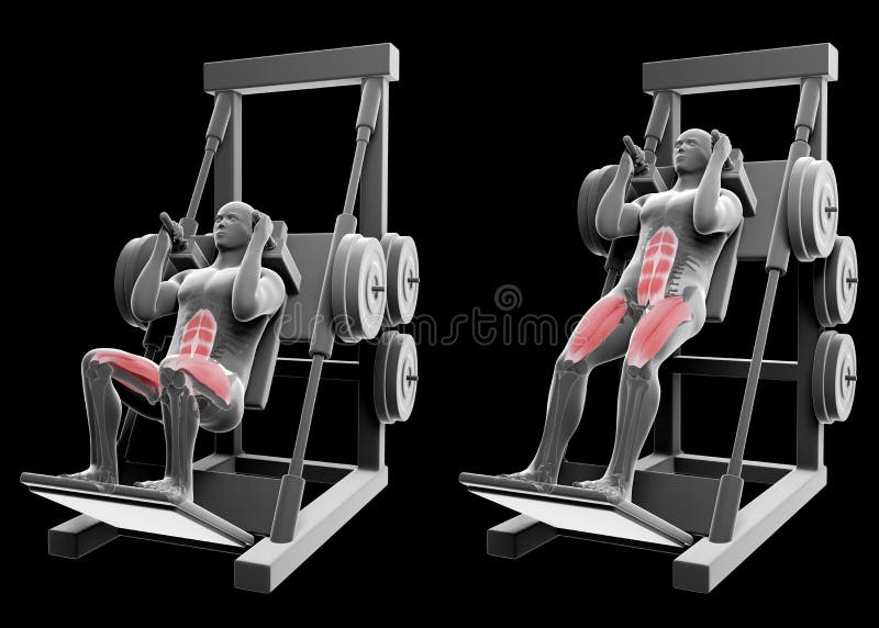 Hack Squat Stock Illustrations – 85 Hack Squat Stock Illustrations ...