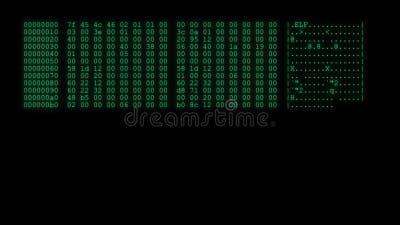 Hacker Code Running Down a Computer Screen Terminal Stock Illustration ...