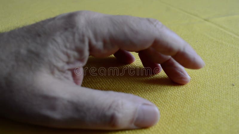 Hand Surface Anatomy stock vector. Illustration of biology - 54954032