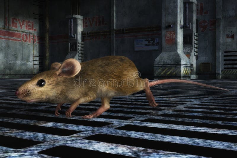 3D Illustration of a House Mouse Mus Musculus Stock Illustration ...